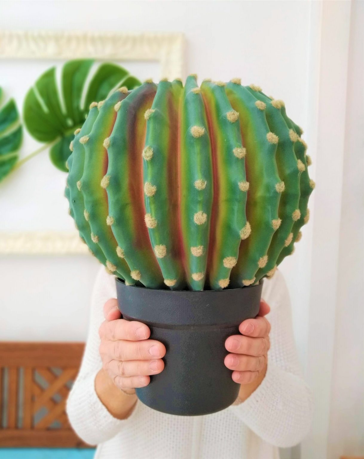 Cactus artificial tacto natural "Oxygona" - Flores Ohana